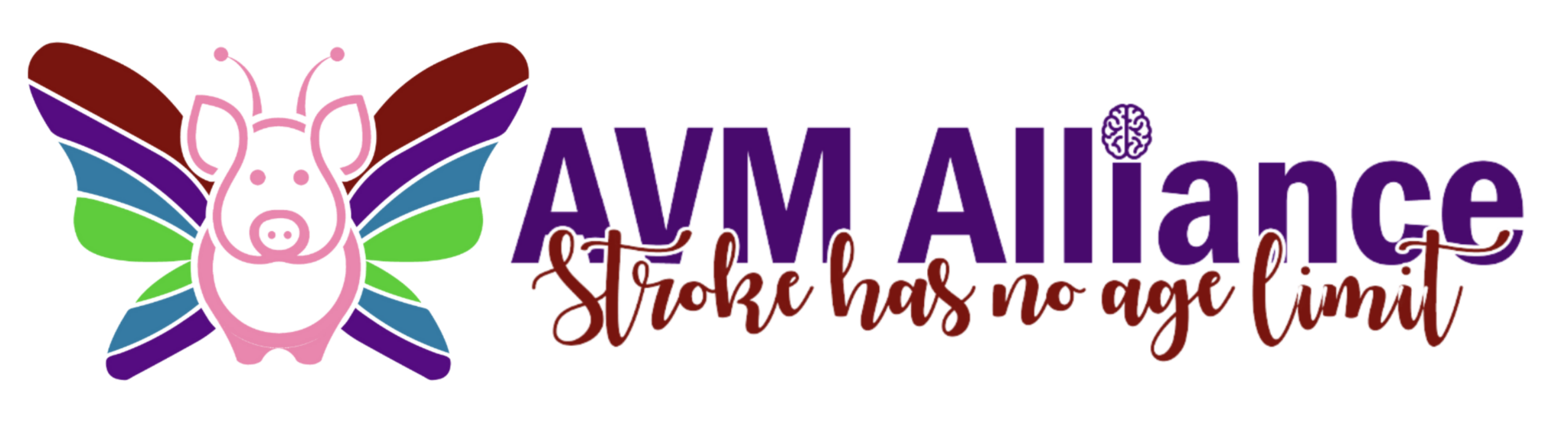 The Aneurysm and AVM Foundation Explained - AVM Alliance